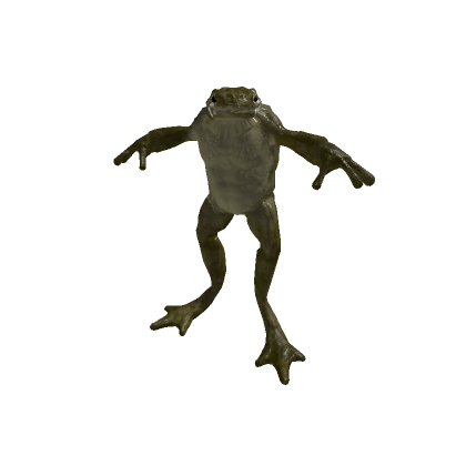 Standing Frog - Roblox