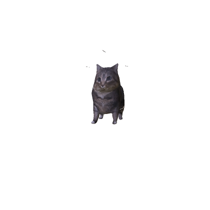 Gato Meme