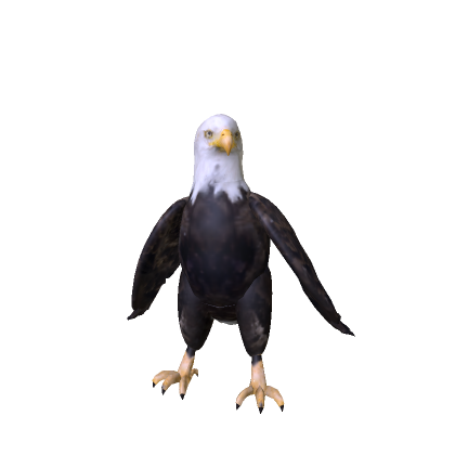 Bald Eagle Avatar 礪