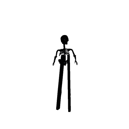 Thin Super Tall Skeleton