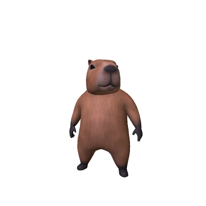 Paquete Capibara