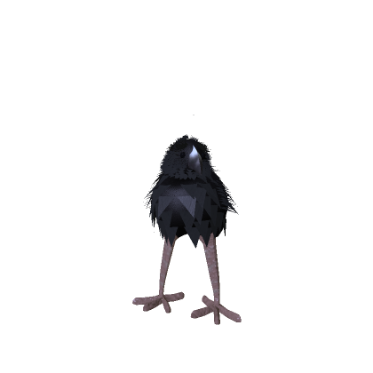 Tiny Pukeko Bundle