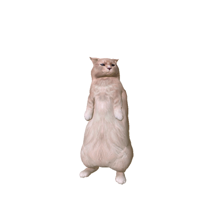 Mini gato
