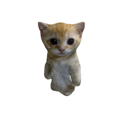 El gato - Roblox