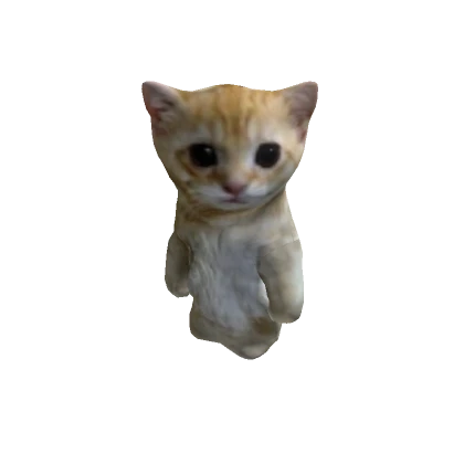 El gato - Roblox