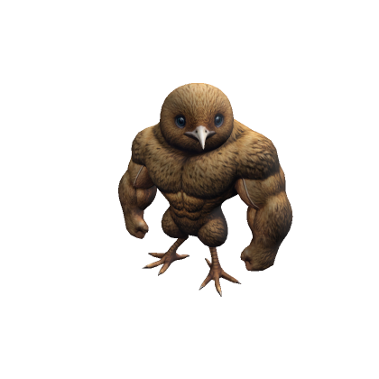 Kiwi Bird