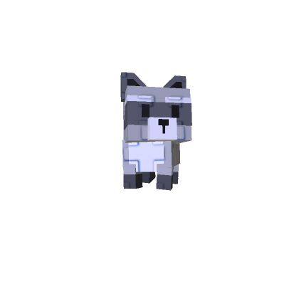 Rakun Mini