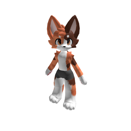 Calico Kemono Tabby Cat Bundle