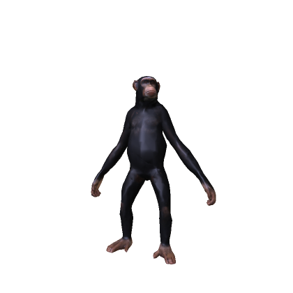 Standing Monkey Funny Meme Troll Animal