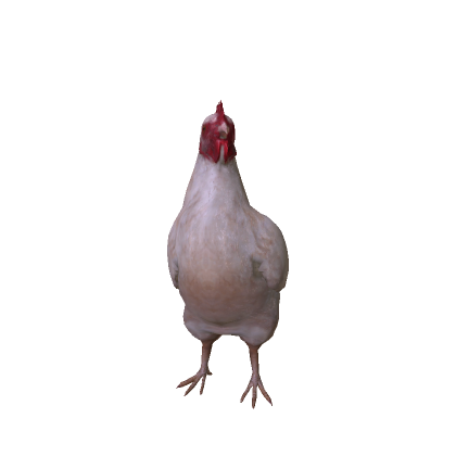 Realistic Avatar Chicken