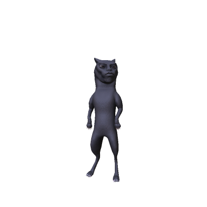 Serious Cat