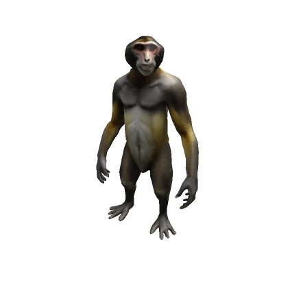 Cute Colorful Monkey - Roblox