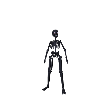 Skeleton