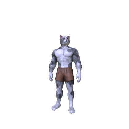 Muscular Buff White/Gray Cat