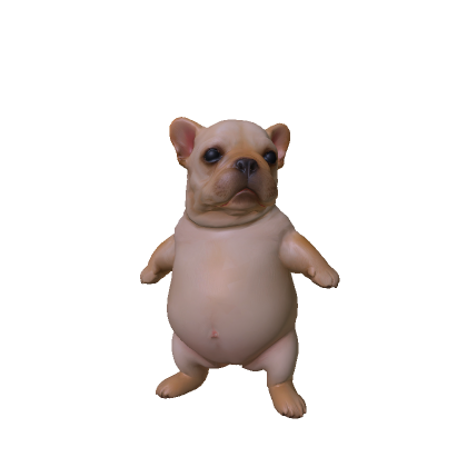 Bellay Pibble Köpeğimi Yıkayın