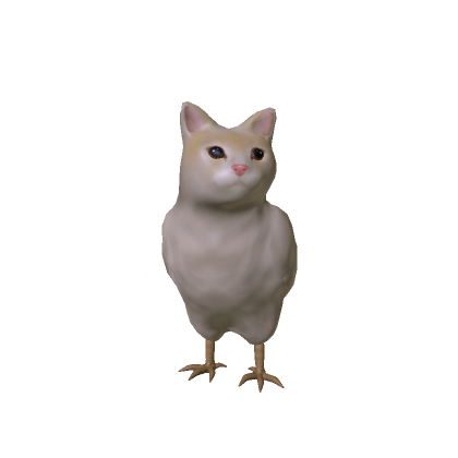 Cute Funny Chicken Cat