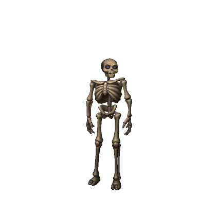 Mr. Skeleton