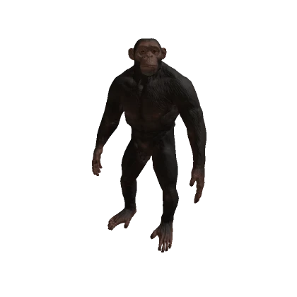 Chimpancé - Roblox