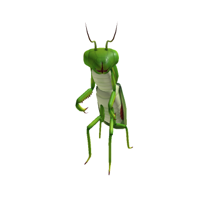 Mantis