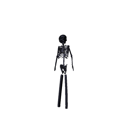 Super Thin Tall Skeleton [SAB]