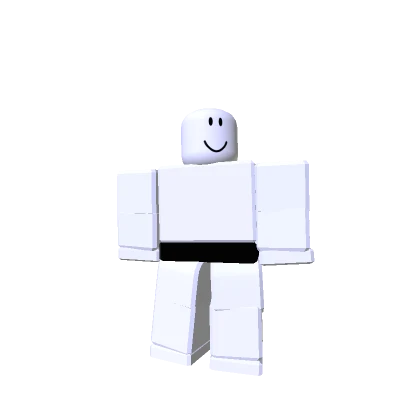 Mirror Man Reflective Bundle (R15)