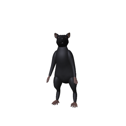 Black Rat Avatar