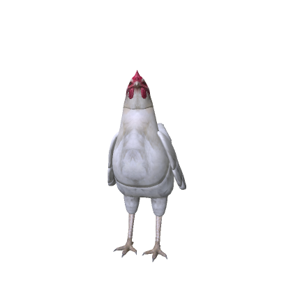 Chicken Avatar (White)
