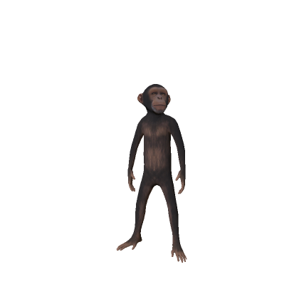 Epic Monkey