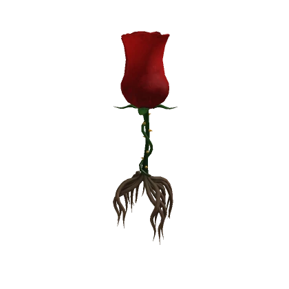 Rosa - Roblox