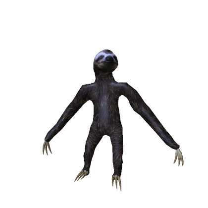 Sloth