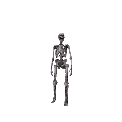 Skeleton Banging Shield