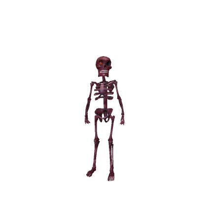 Horror Skeleton