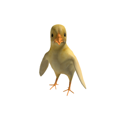 Pollo Bebé - Roblox