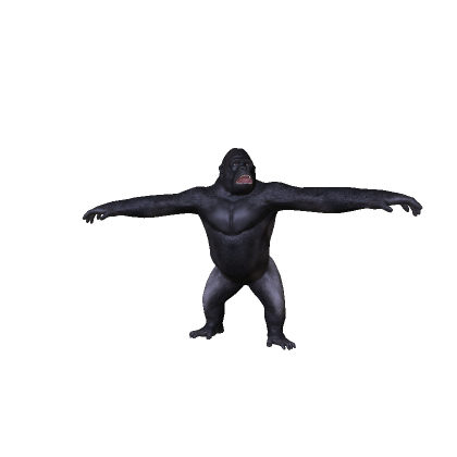 Buff Gorilla Monke