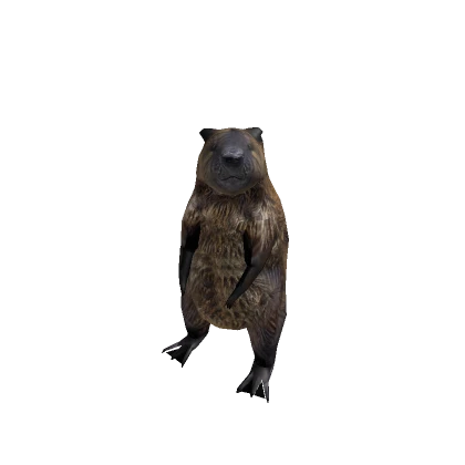 Beaver Avatar - Roblox