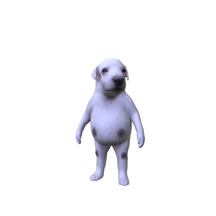 Waos Dog