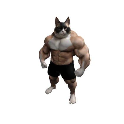 Muscle Cat - Roblox