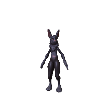 The Lost Bunny
