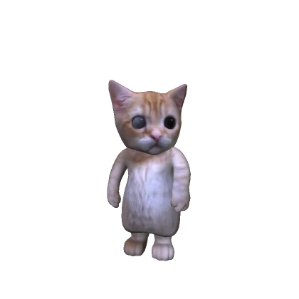 El Gato