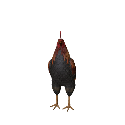 adidas Rooster Chicken