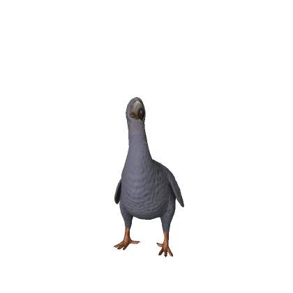 Dodo Bird