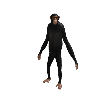 Mini mono épico - Roblox