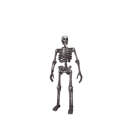 Stylized Skeleton body