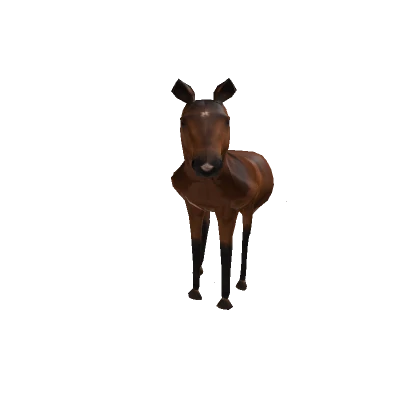 JUAN - Roblox