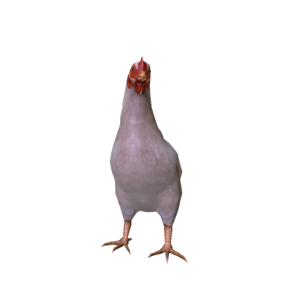Realistic Chicken