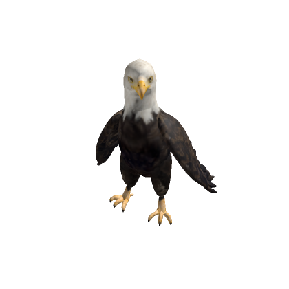 Bald Eagle Avatar 礪