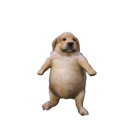 [⌛] Chubby Jotchua Dog