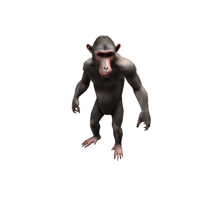 Old Baboon - Roblox