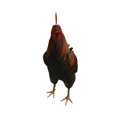 adidas Rooster Chicken - Roblox