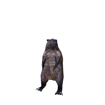 Beaver Avatar